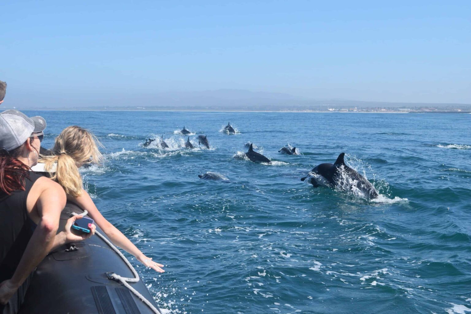 Unique and Unexpected Things to Do in Oceanside - Visit Oceanside