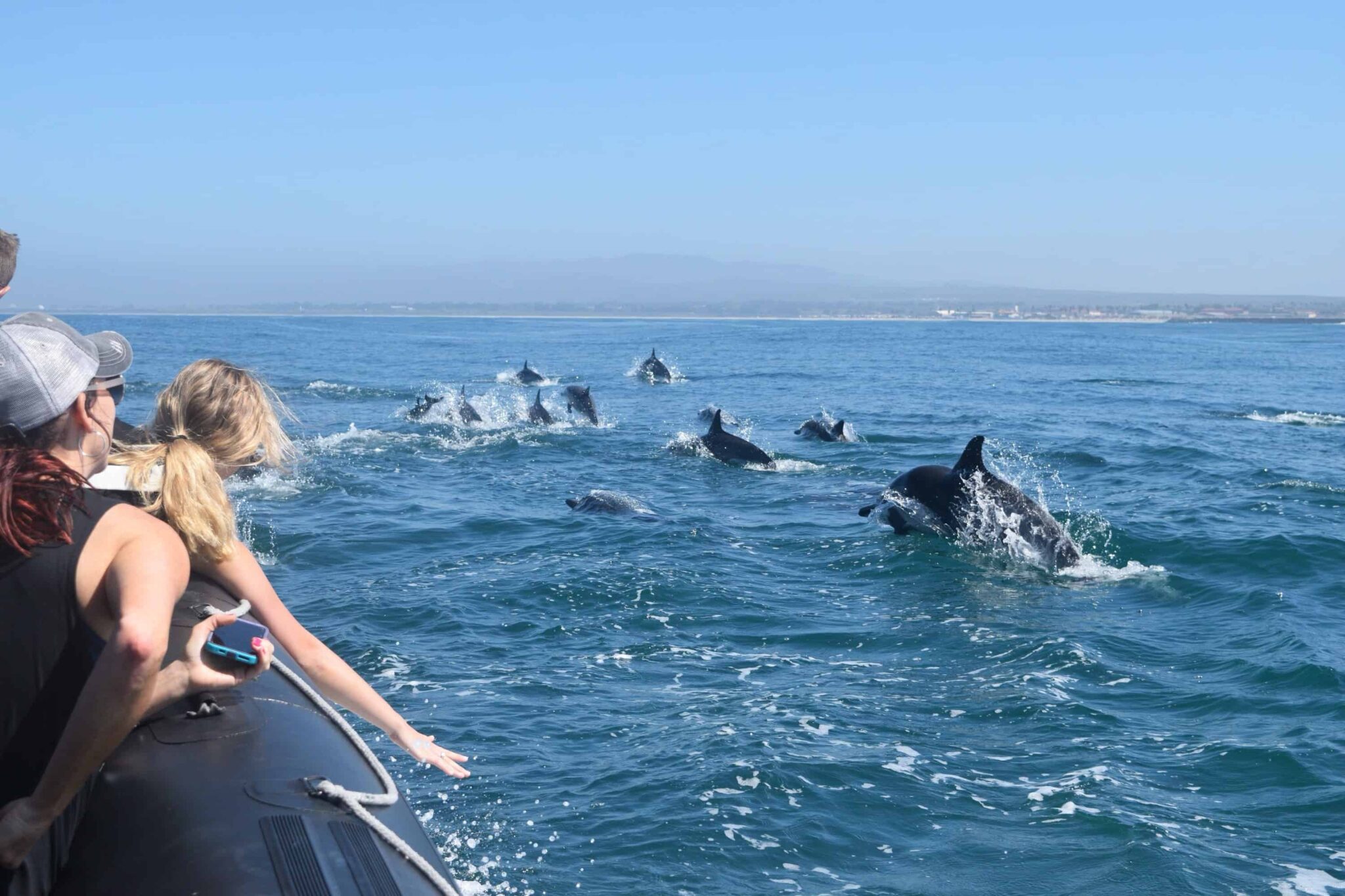 Unique and Unexpected Things to Do in Oceanside - Visit Oceanside