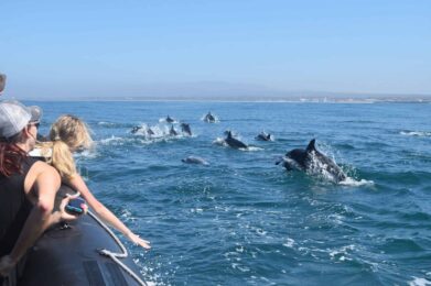 Unique and Unexpected Things to Do in Oceanside - Visit Oceanside