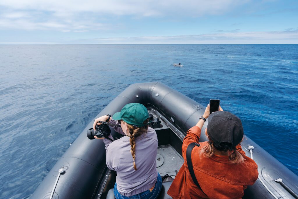 Road Trip To The Coast - Visit Oceanside