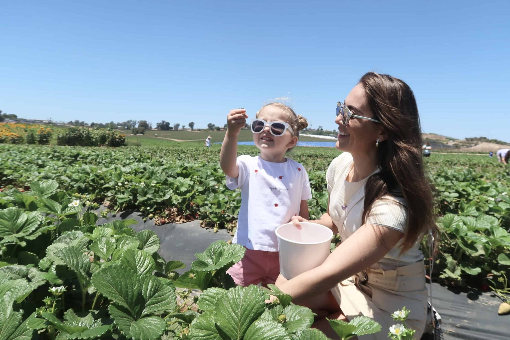 10 Fun Things To Do With Kids In Oceanside - Visit Oceanside