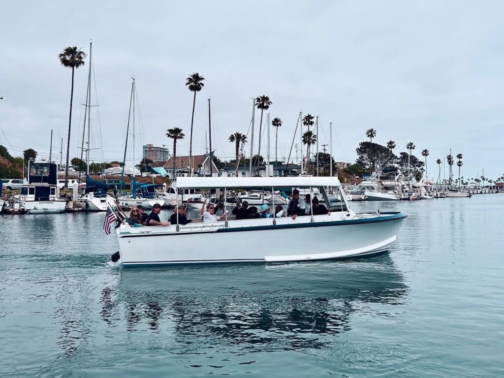 Whale Watching in Oceanside, CA - Boat Tours & Marine Life